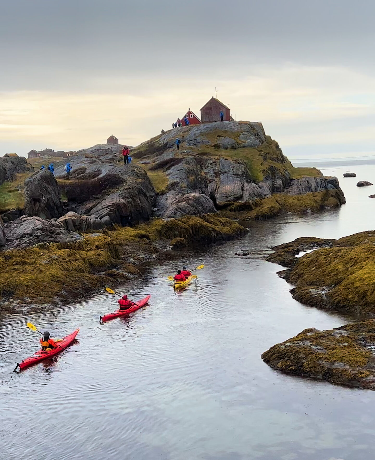 Wild Women Expeditions | Explore the Arctic