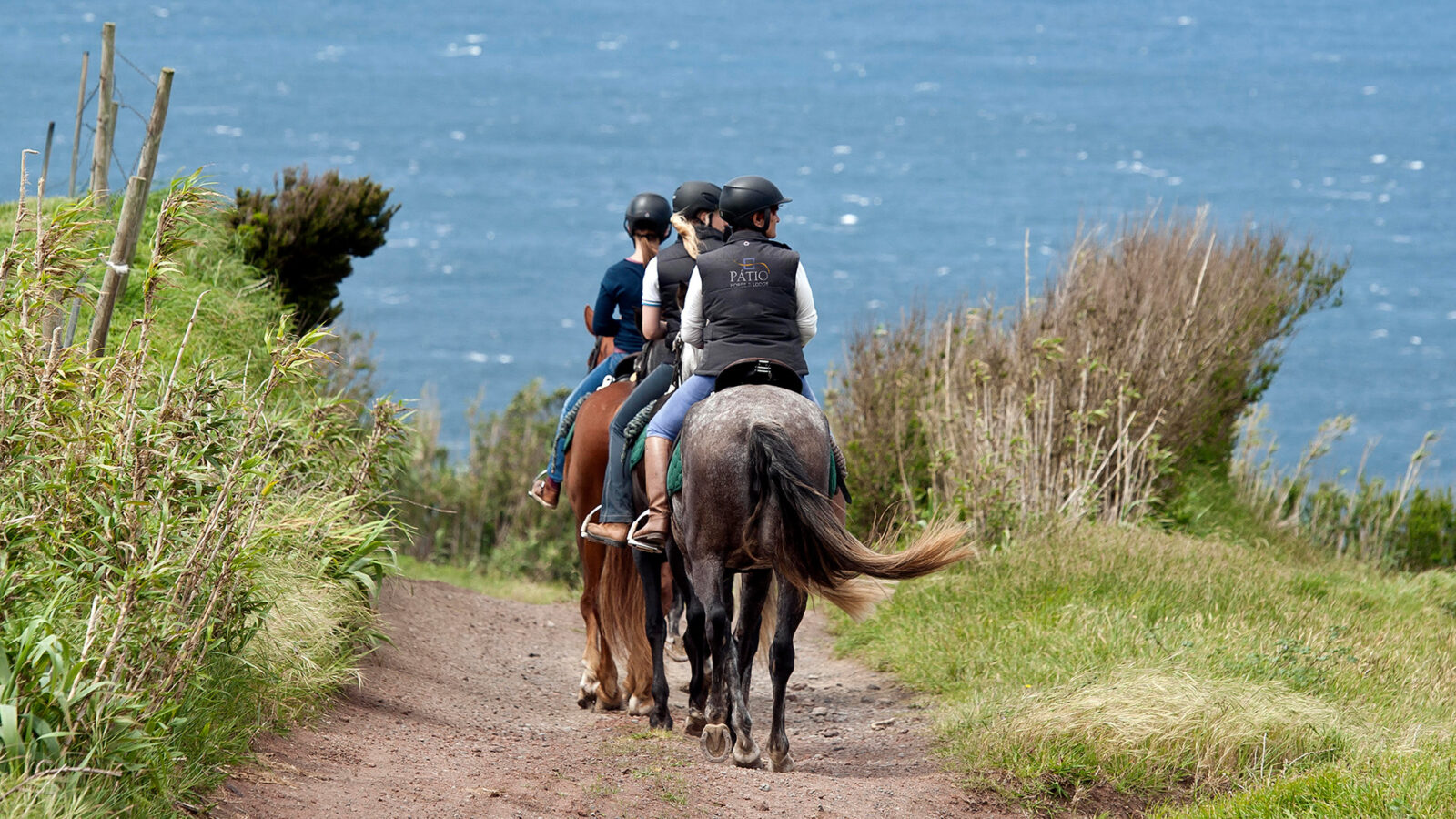 The Fairy Tale Horses of Faial Island, Azores - Wild Women Expeditions