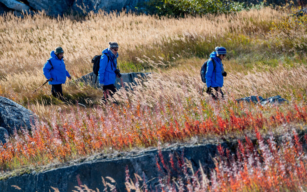 Wild Women Expeditions | Greenland and Wild Labrador