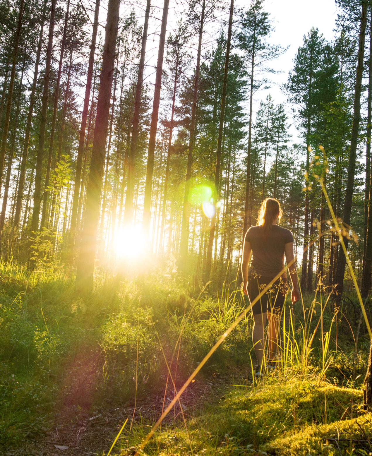 Wild Women Expeditions | Womens Wilderness Retreat