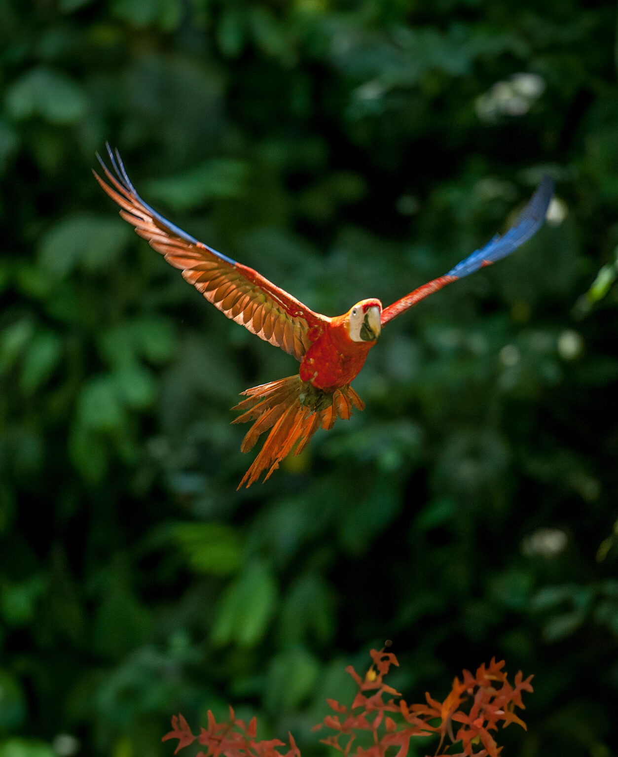 2025 Worldwide Adventure Calendar - Wild Women Expeditions