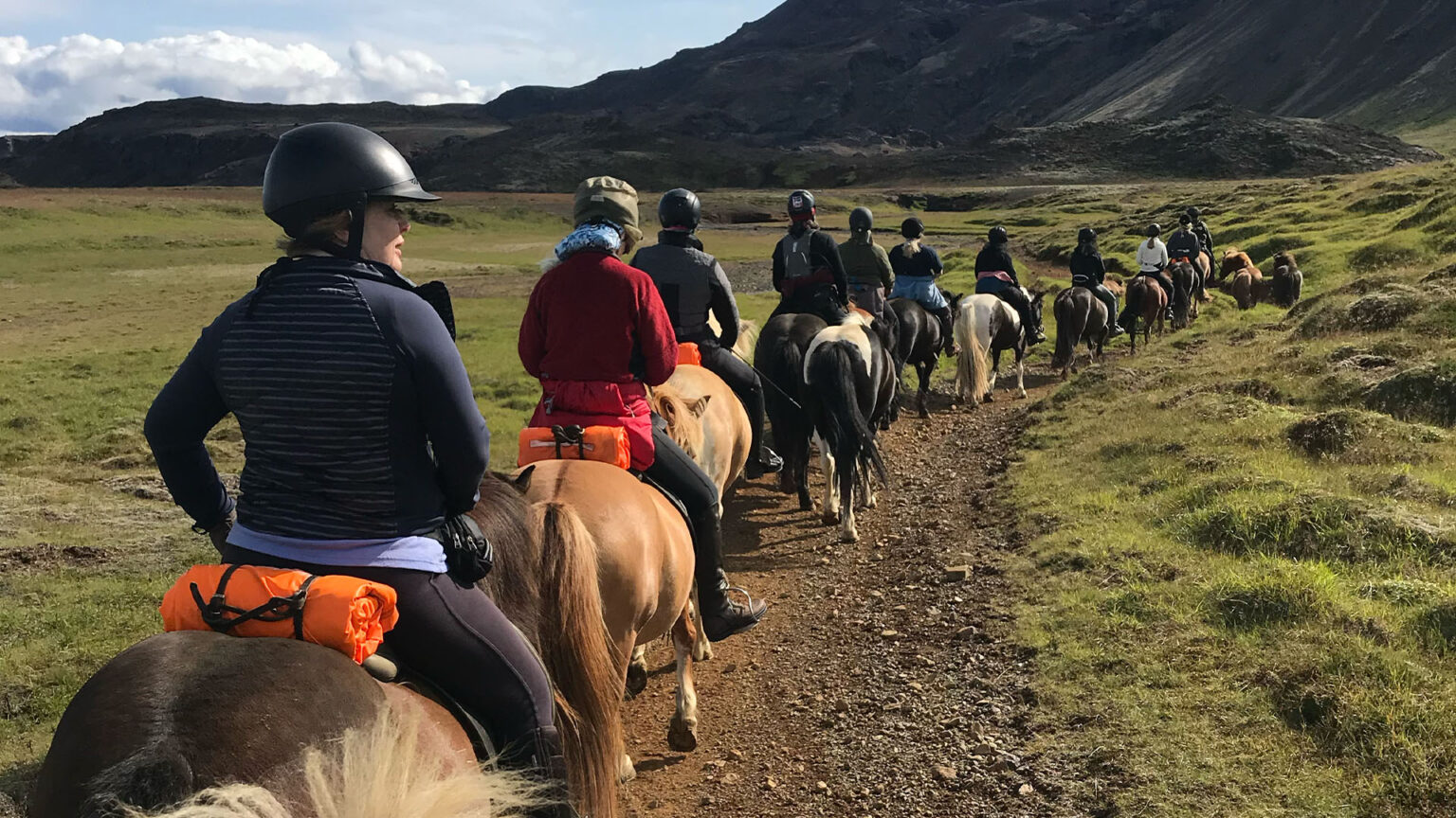 Wild Women Expeditions | You Belong in the Wild