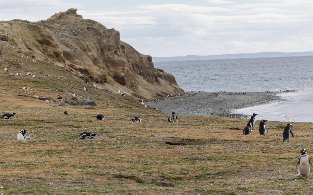 Wild Women Expeditions | Patagonia Hiking Adventure