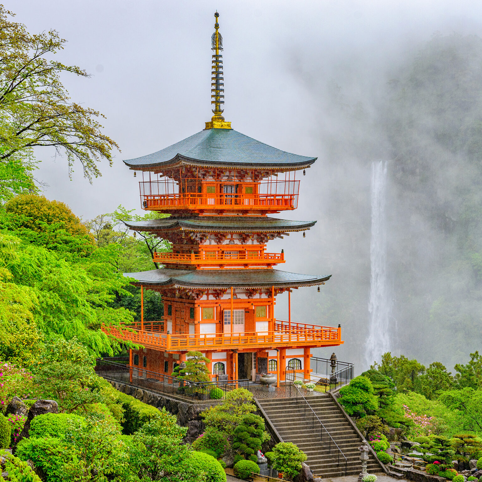 Your Ultimate Guide to Japan - Wild Women Expeditions