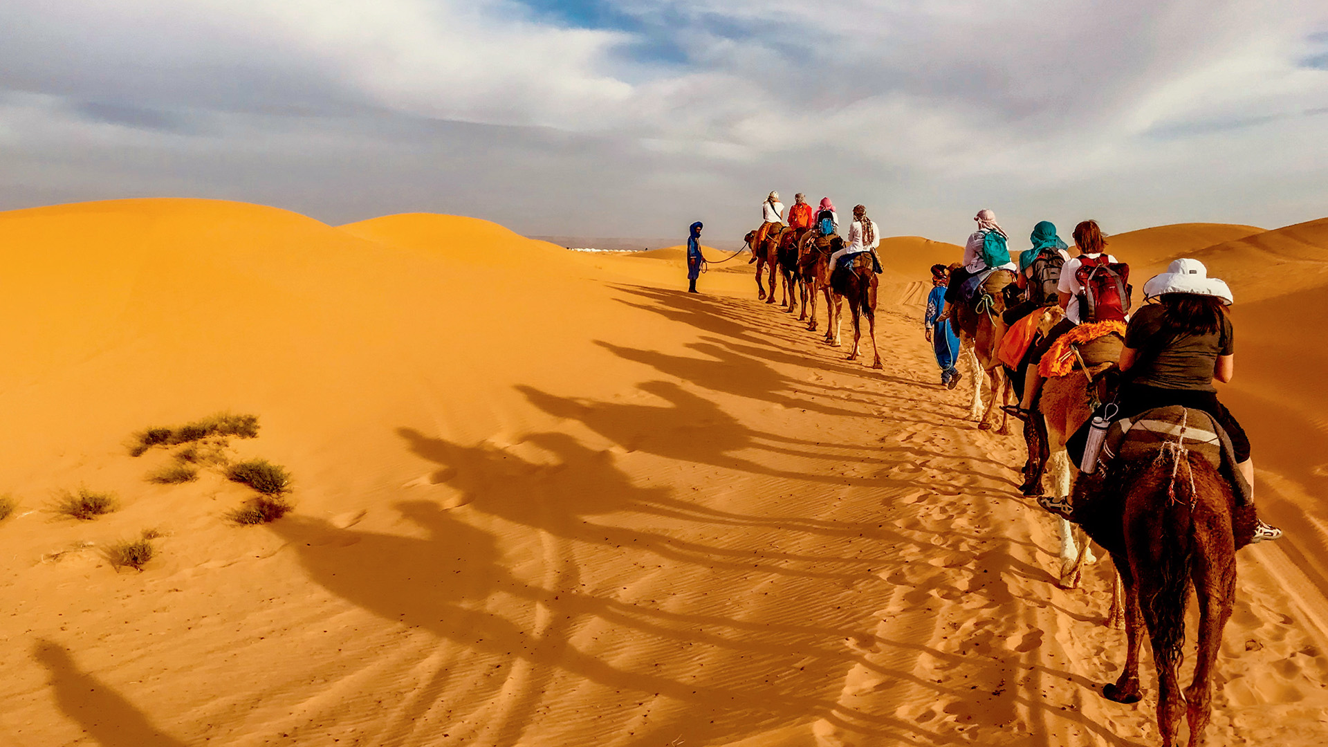 Your Ultimate Guide to Morocco - Wild Women Expeditions