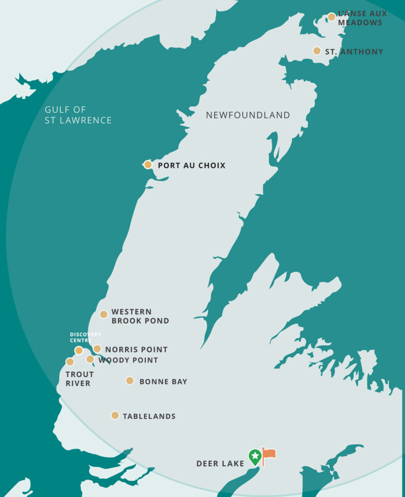 Wild Women Expeditions | Newfoundland Active Adventure