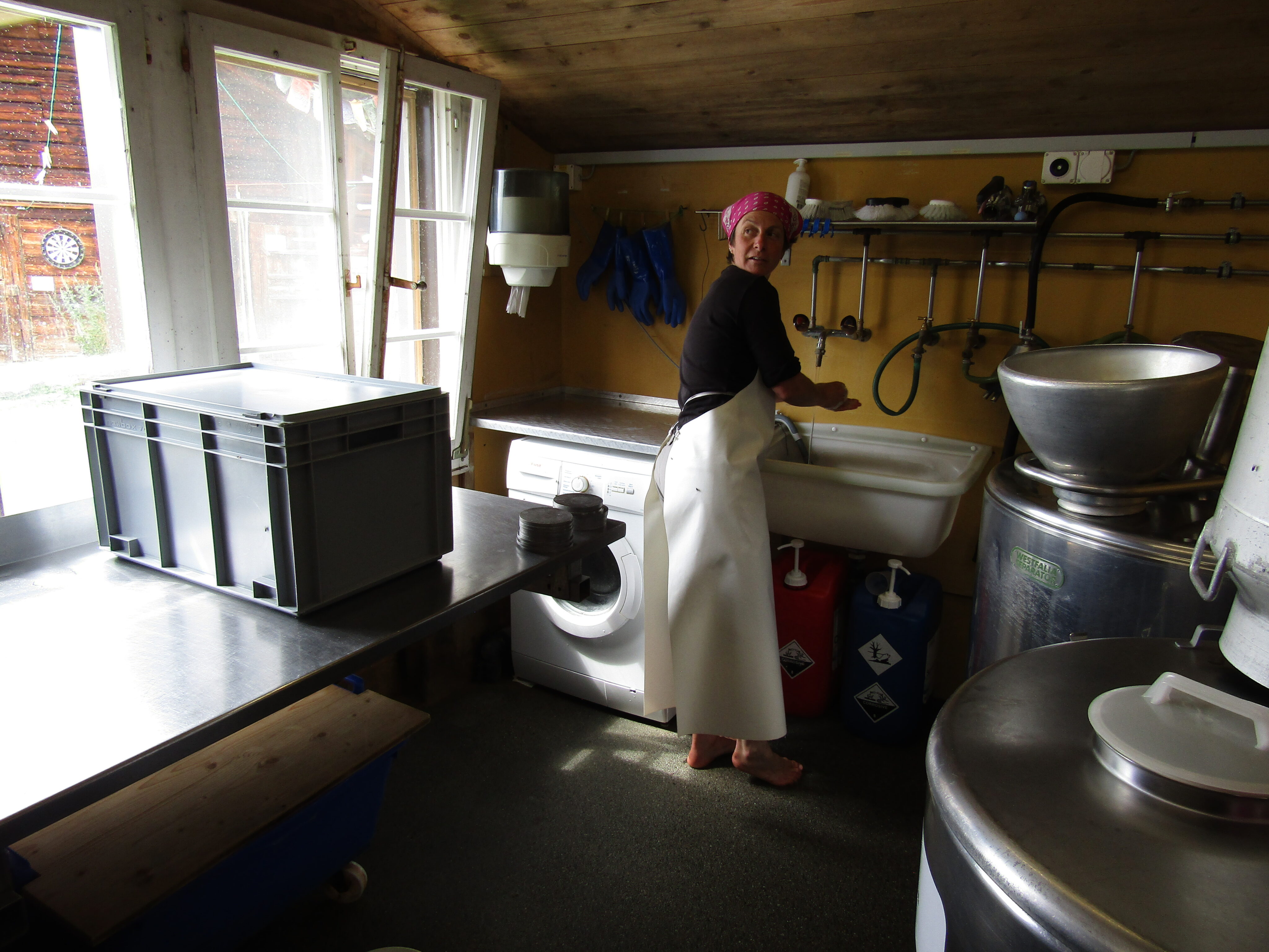 Wild Women Expeditions | Switzerland Hiking Adventure