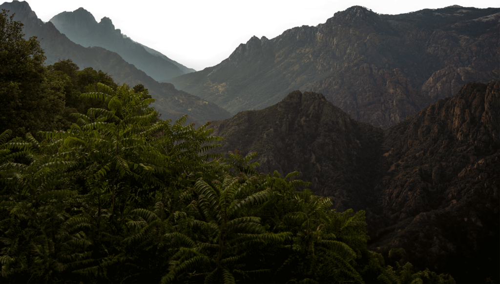 Stories From the Arctic: With Love From Nancy Hensel - Wild Women ...