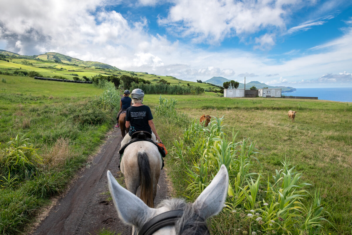 Bonding Over Bridles and Barbie Dream Horses in the Azores - Wild Women ...