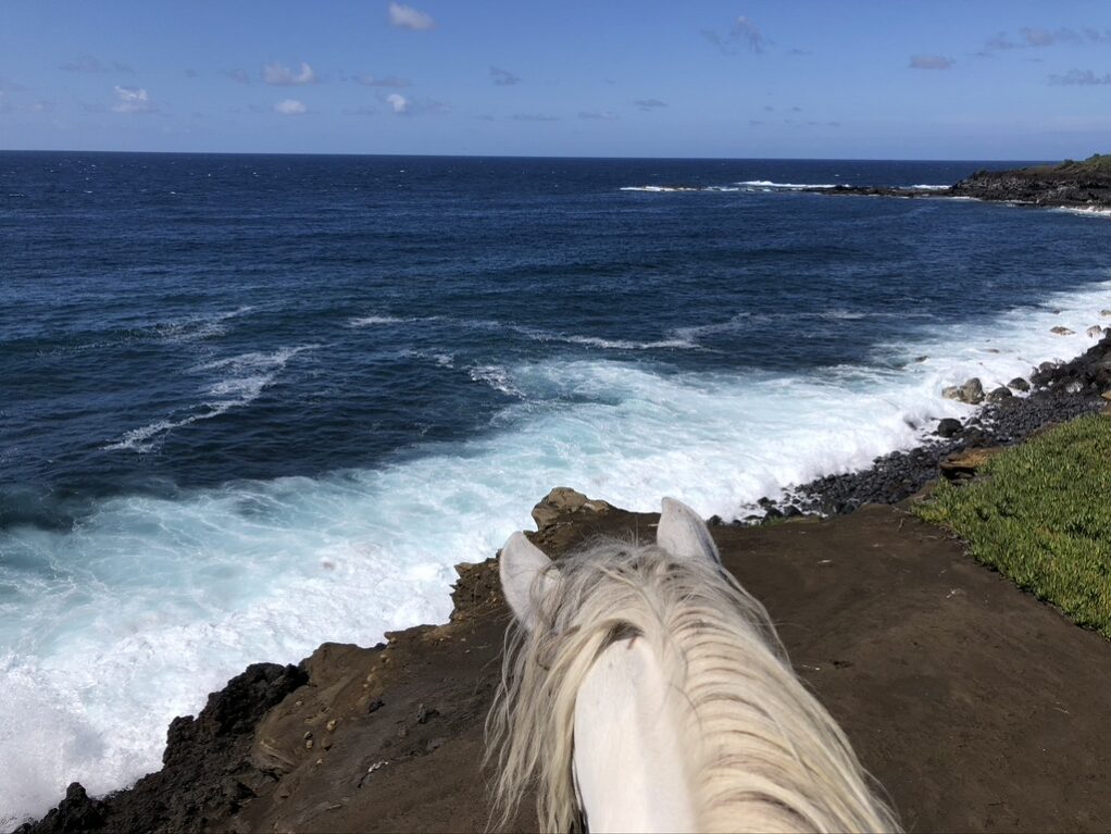 The Fairy Tale Horses of Faial Island, Azores - Wild Women Expeditions