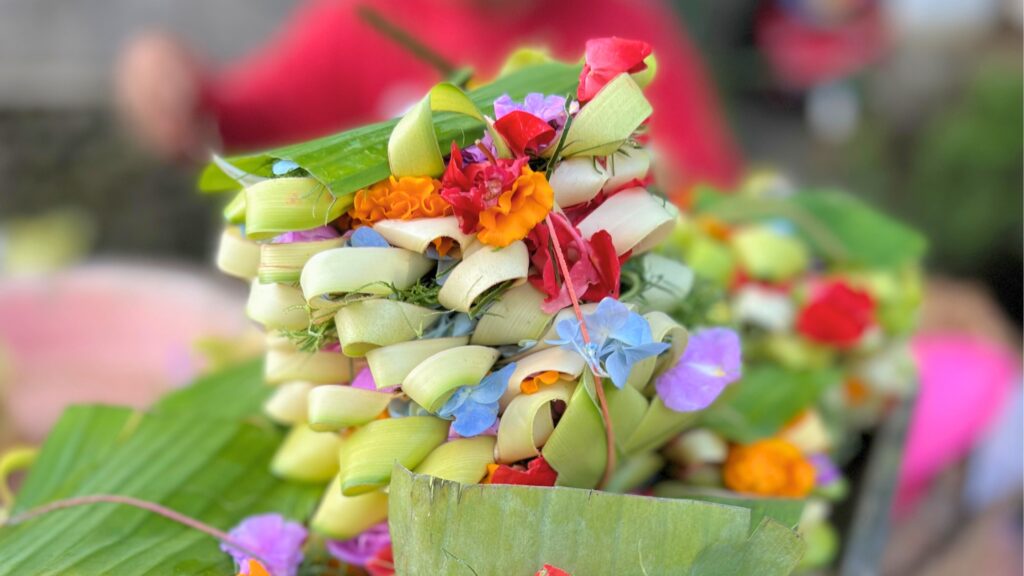 A Guide to Our Most Flowery Destinations - Wild Women Expeditions