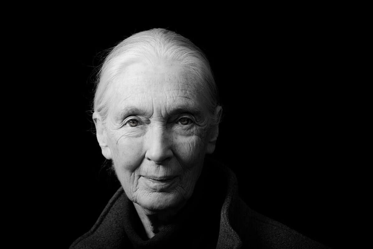 Jane Goodall: Hope for Humanity - Wild Women Expeditions