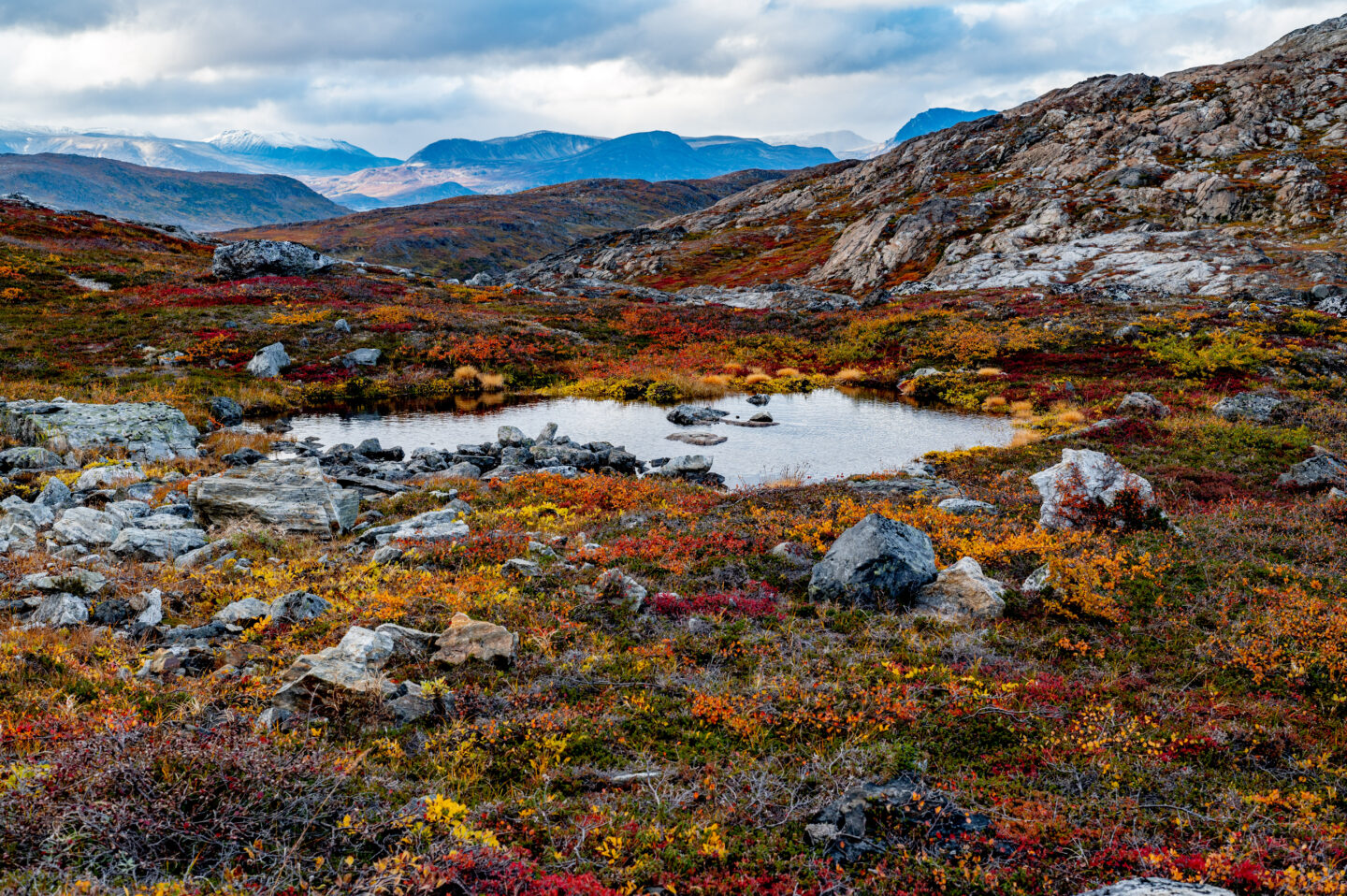The Unexpected Impressions of Greenland and Wild Labrador - Wild Women ...