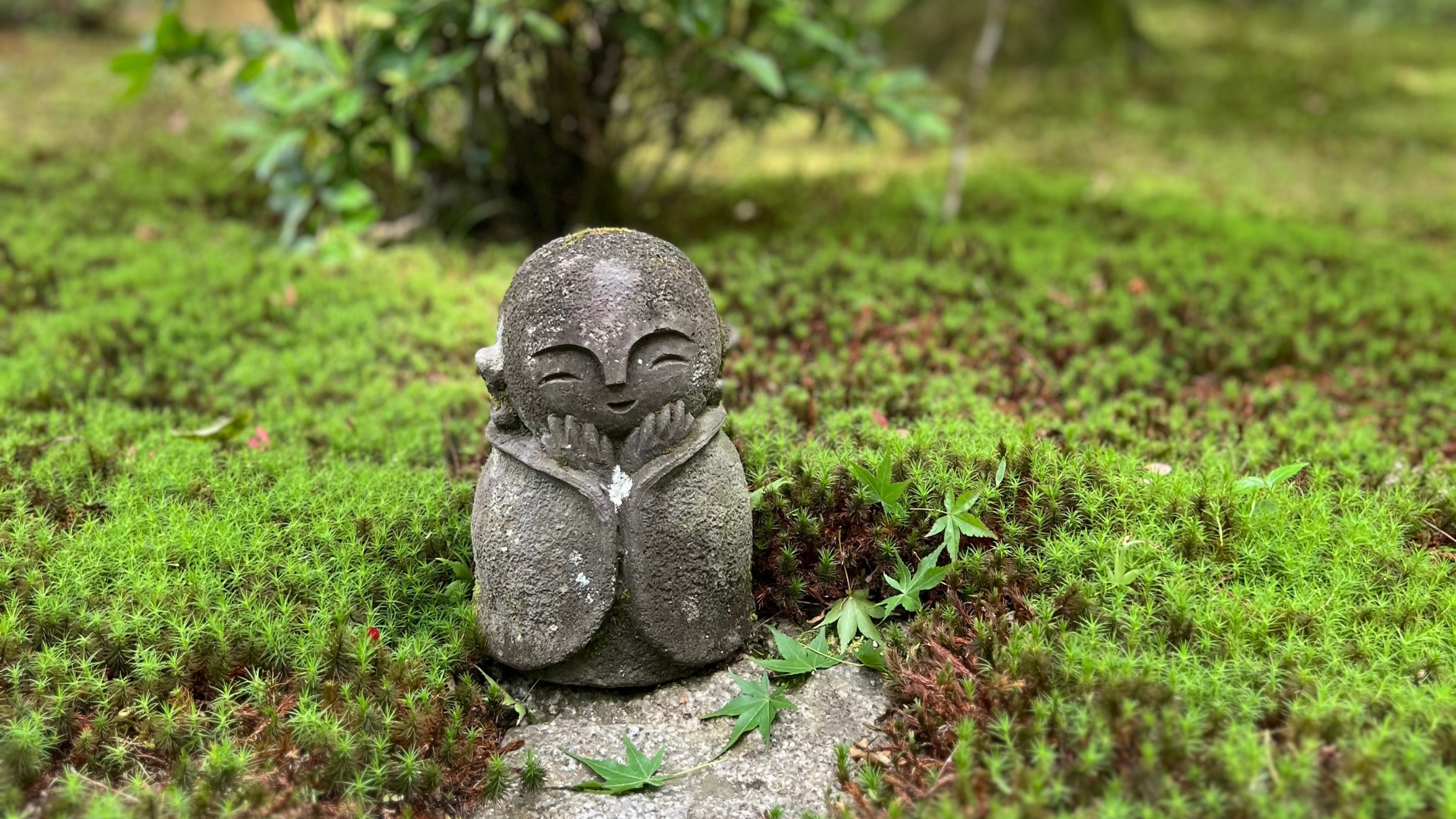 Sacred Indeed: Finding Peace in Japan - Wild Women Expeditions