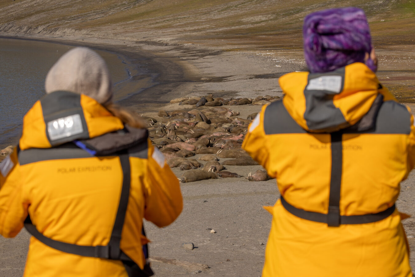 Svalbard Explorer Expedition: Best of Norway’s High Arctic