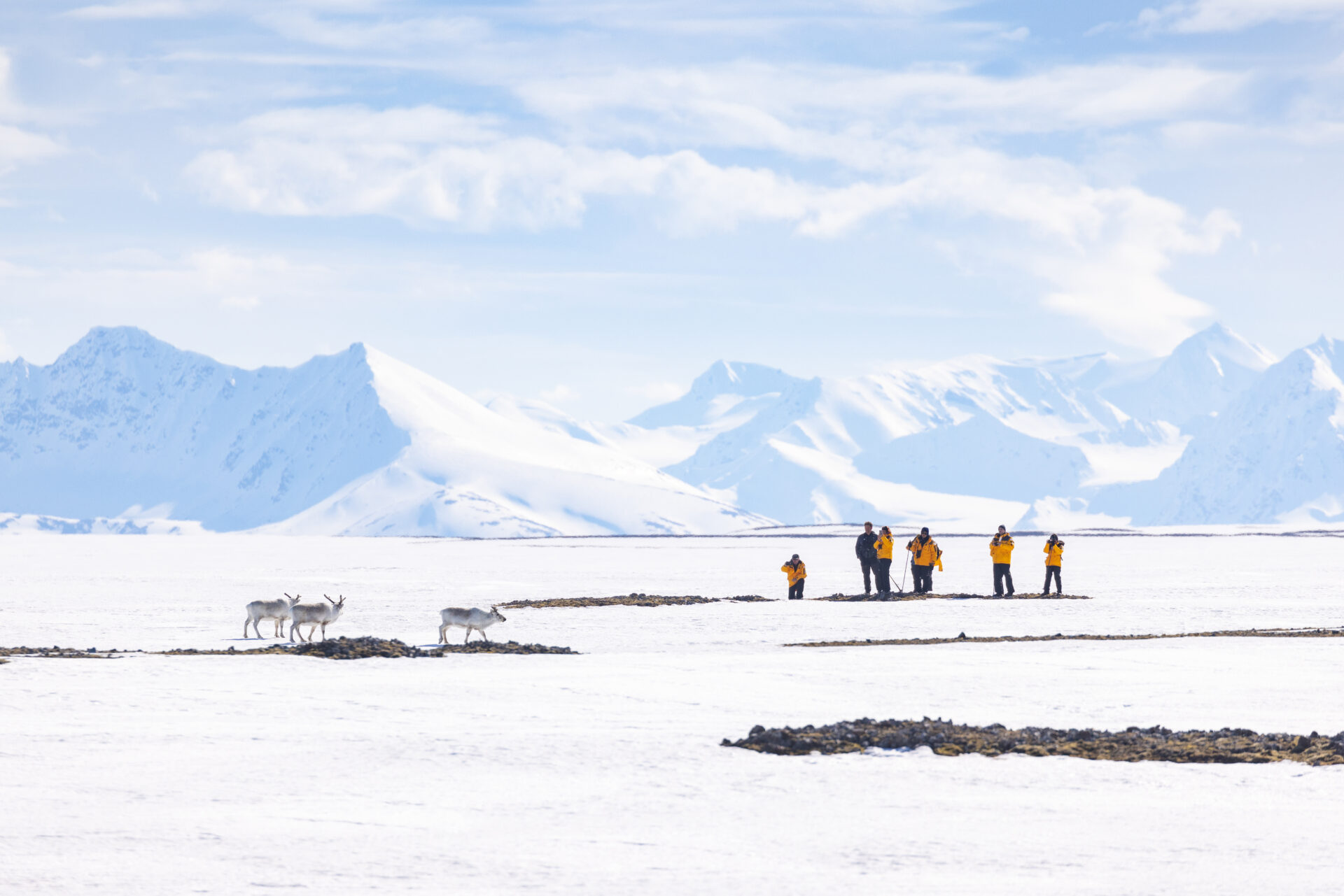 Svalbard Explorer Expedition: Best of Norway’s High Arctic